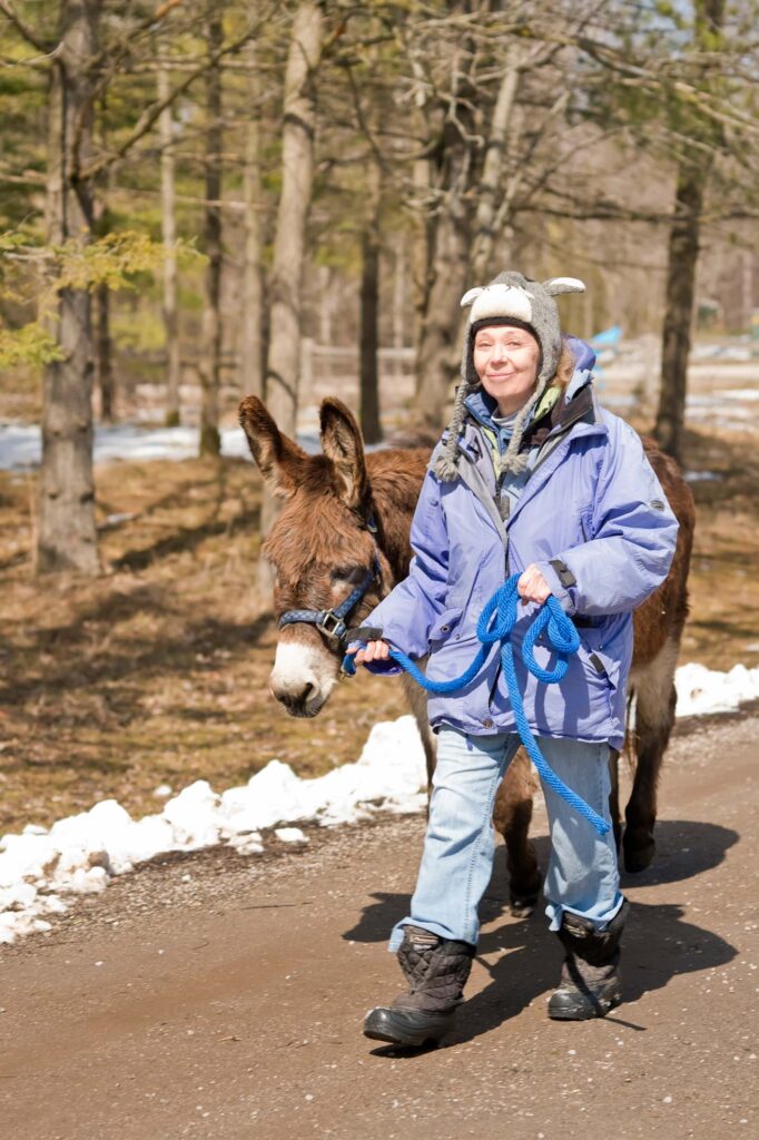 Home - The Donkey Sanctuary of Canada