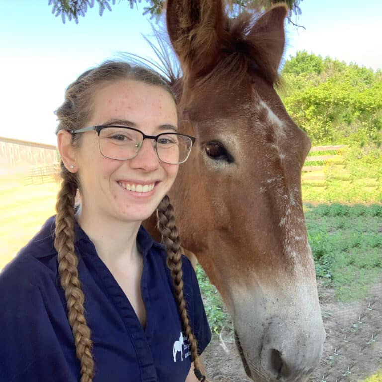 About Us - The Donkey Sanctuary of Canada