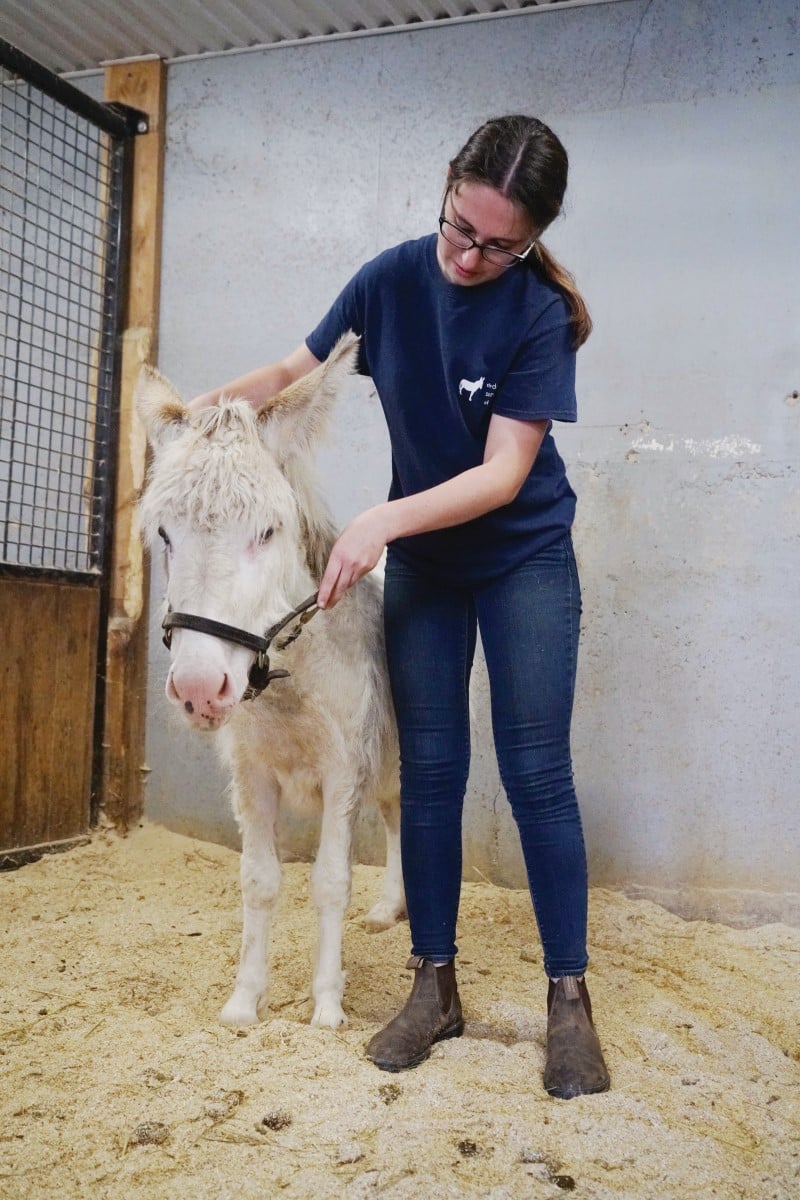Our people - The Donkey Sanctuary of Canada