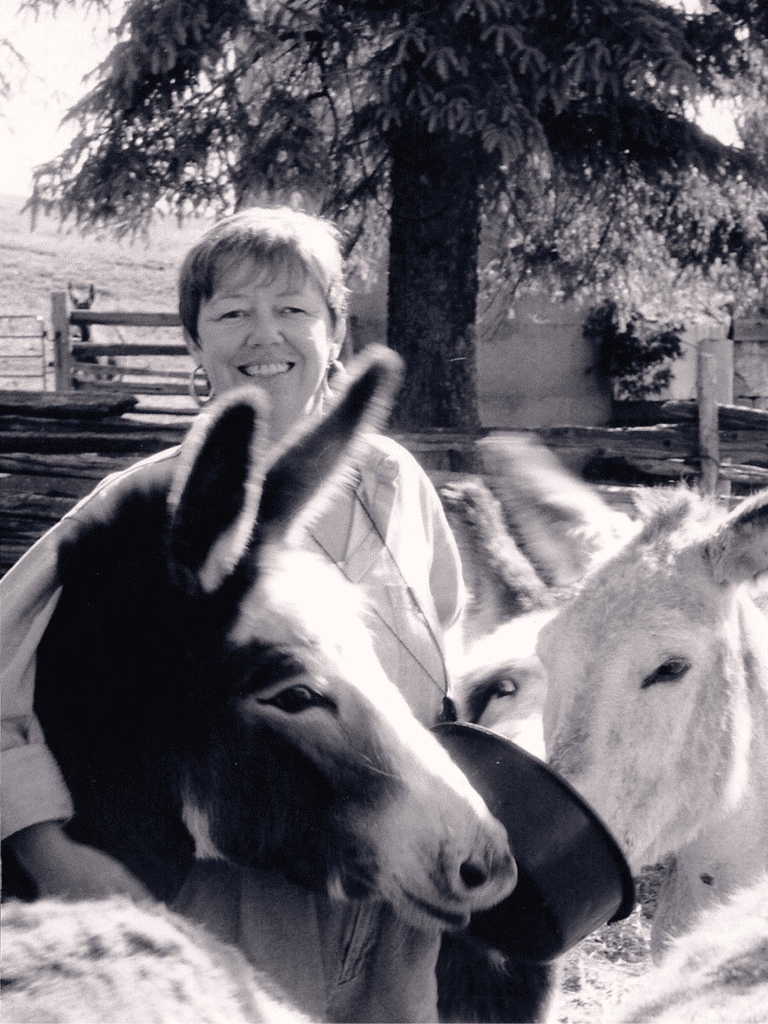 Our Story - The Donkey Sanctuary of Canada